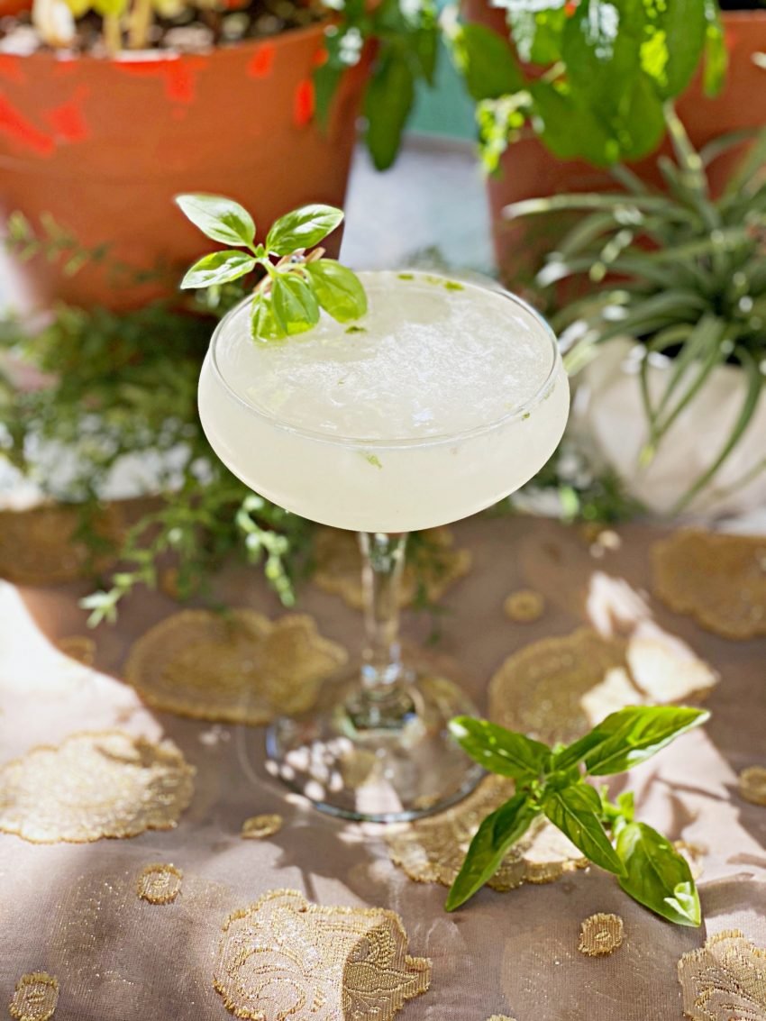 The Novelist’s Garden Cocktail Recipe + 5 Tips for Making a Killer ...