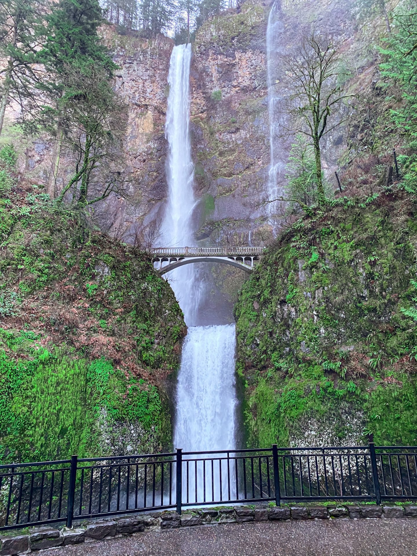What to Expect When Visiting Multnomah Falls - Maddie Deer