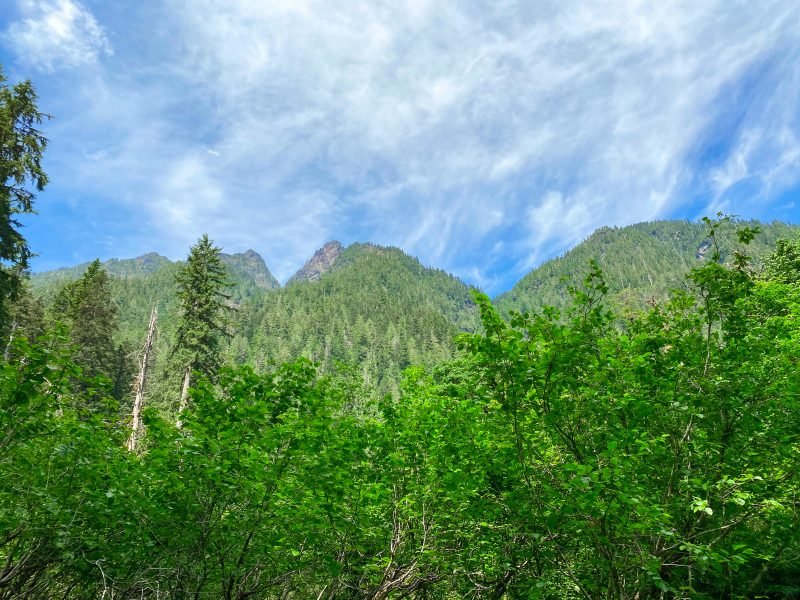 Guide to Backpacking Enchanted Valley in Olympic National Park