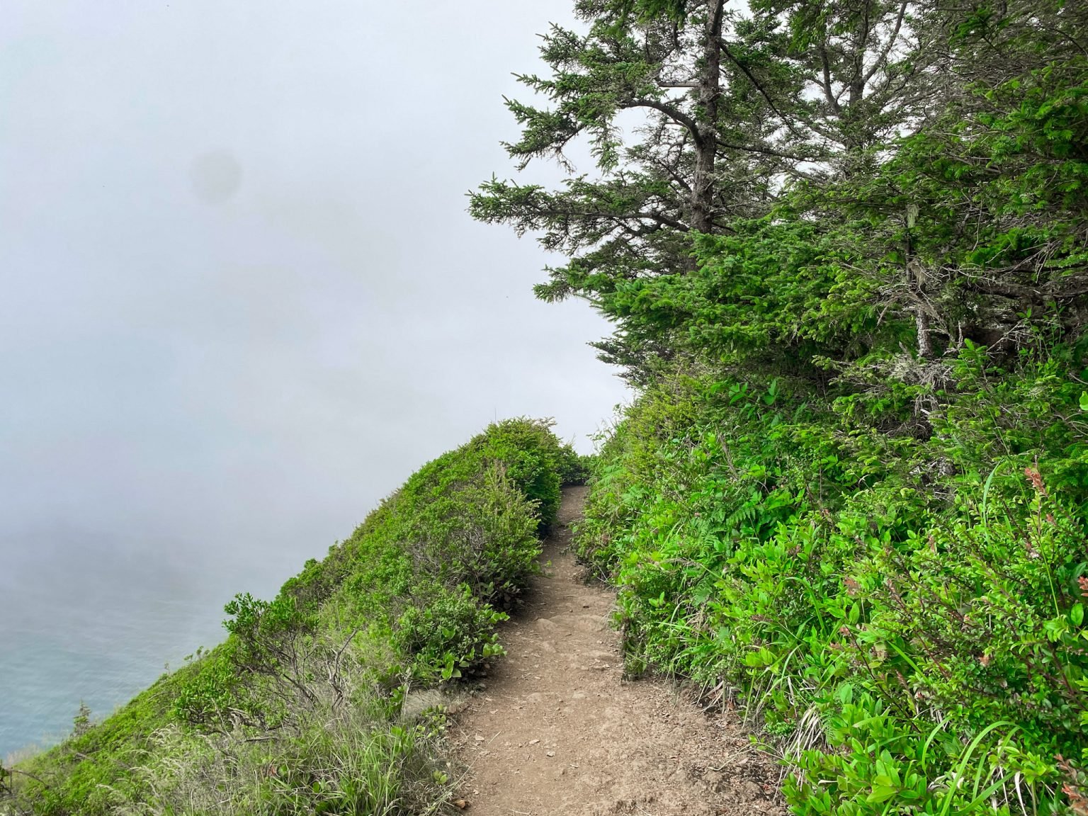 Hiking Guide to Cape Lookout Trail - Maddie Deer